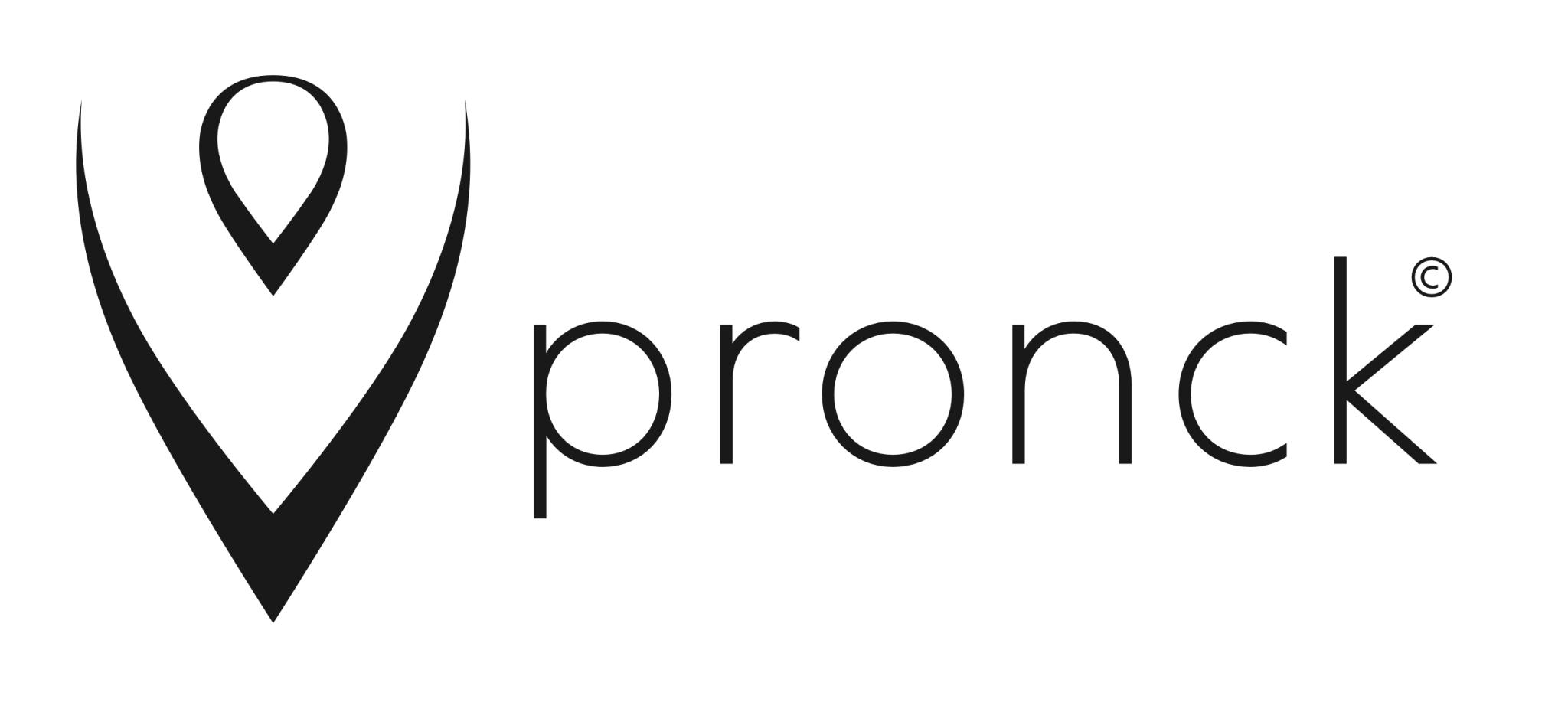 Pronck - Vakmanschap in elk detail